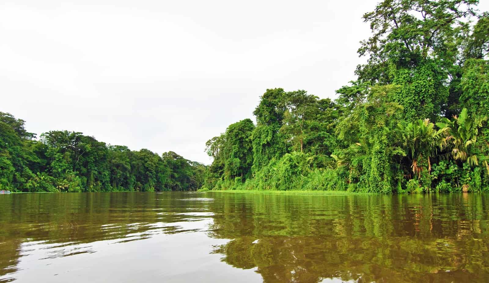 Las 4 zonas imprescindibles que ver en Costa Rica - Kiwaka Travel